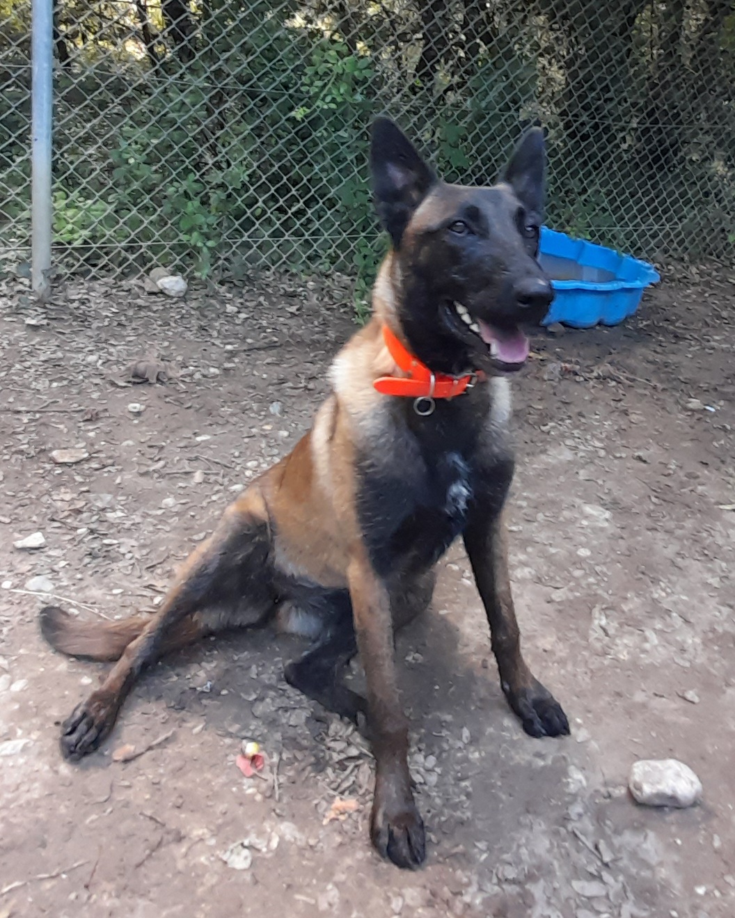 SAYAA | La SPA de l'Enclave des Papes - Grillon